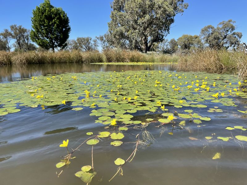 News | North Central Catchment Management Authority