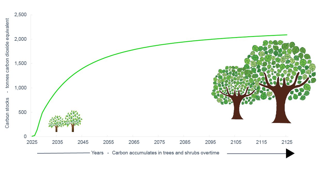 Grow Towards Zero – Cultivating Community Carbon in Central Victoria ...