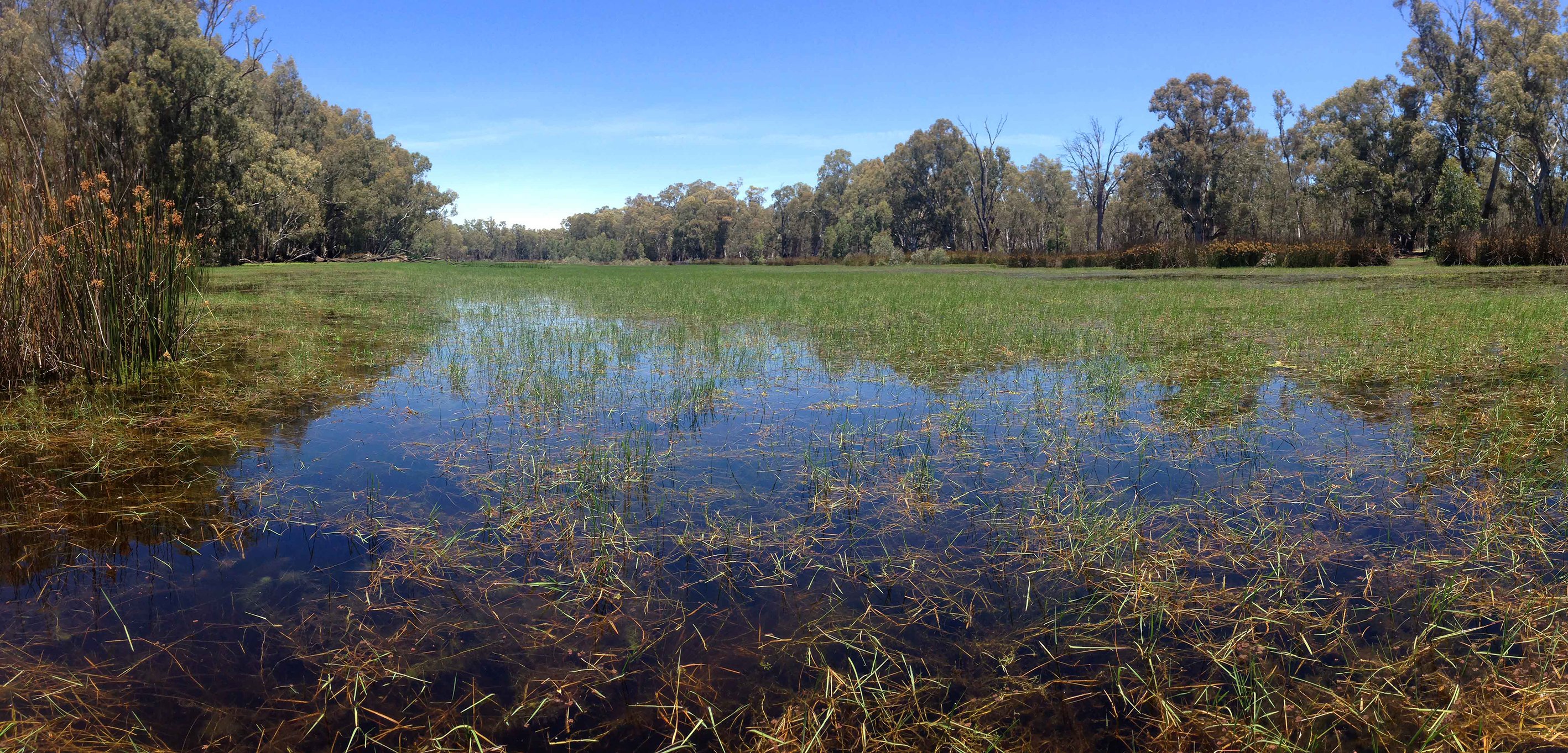 North Central Citizen Science Projects | North Central Catchment ...