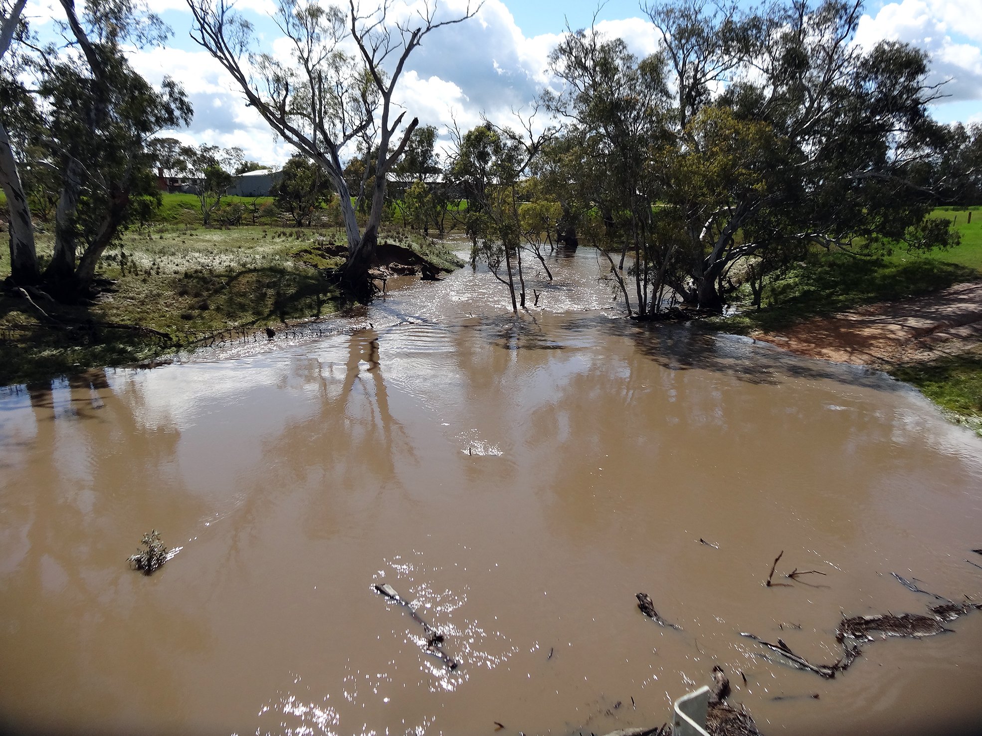 Saltwatch Week | North Central Catchment Management Authority