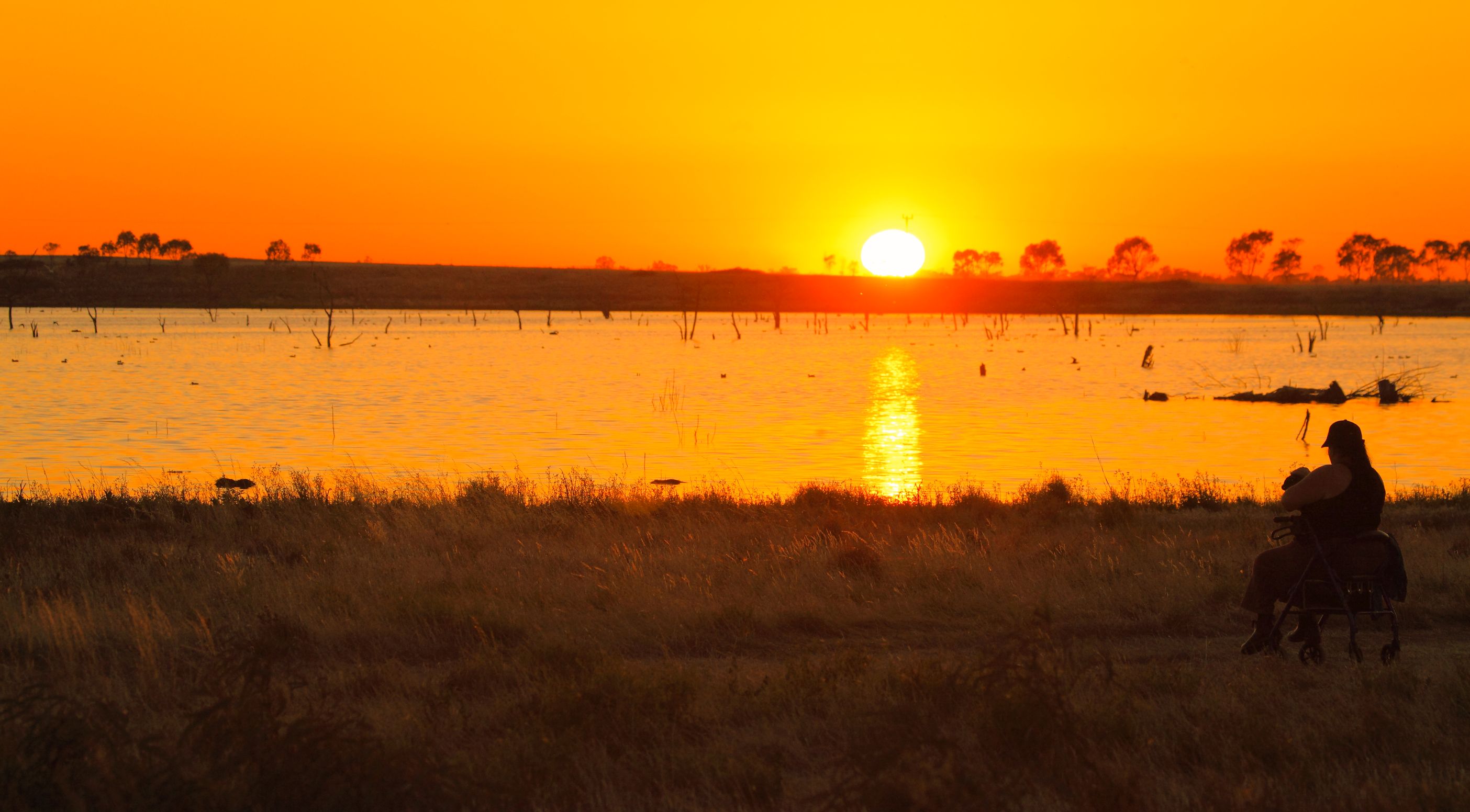 Breakfast with the Birds 2025 | North Central Catchment Management ...
