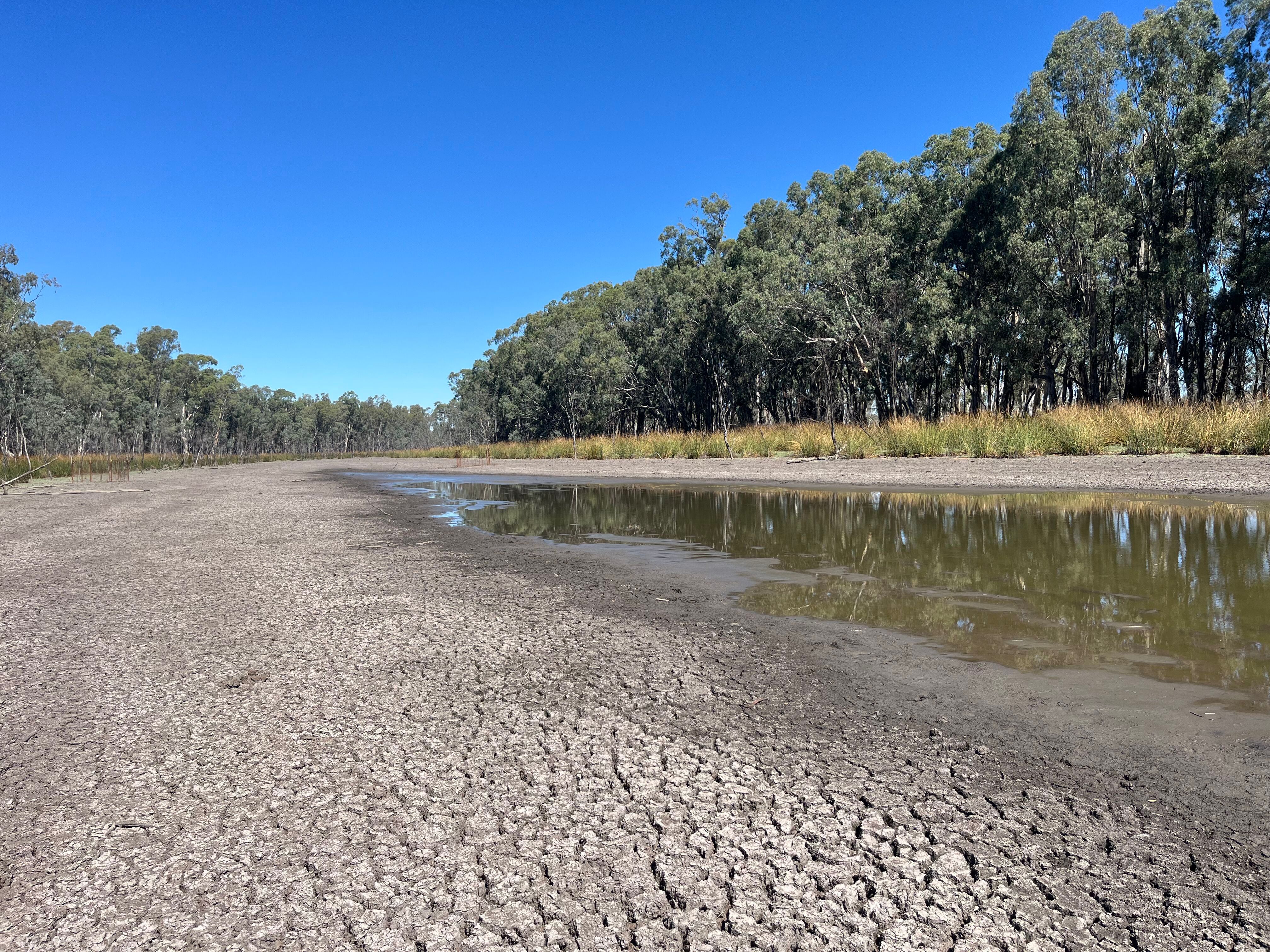 2025 wetland flow FAQs | North Central Catchment Management Authority