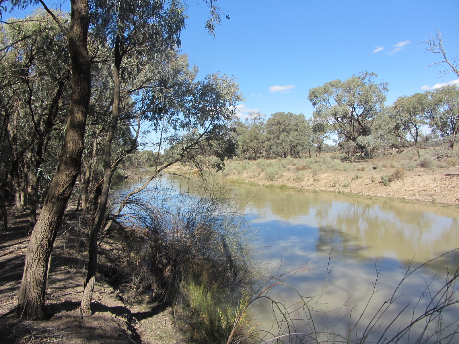 Loddon River Reach 5 and Pyramid Creek | North Central Catchment ...