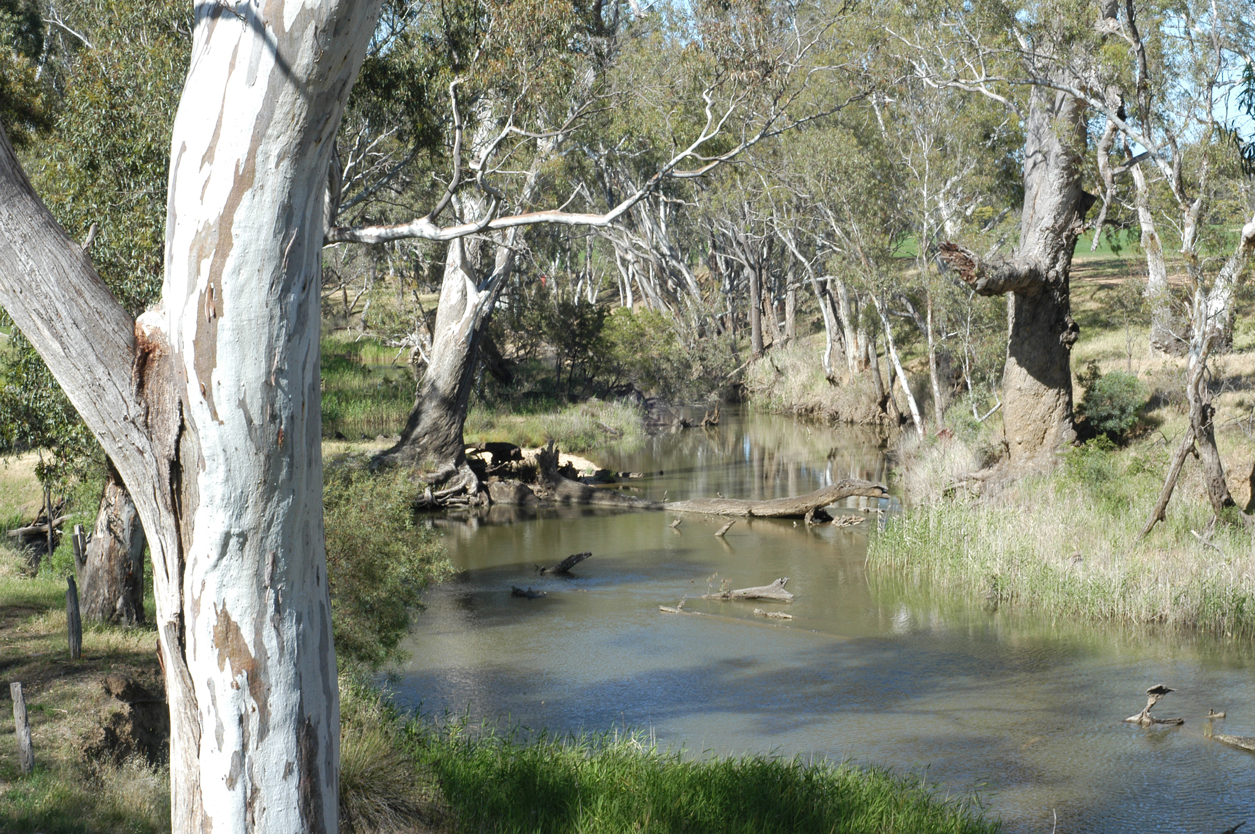 Loddon River downstream of Loddon Weir | North Central Catchment ...