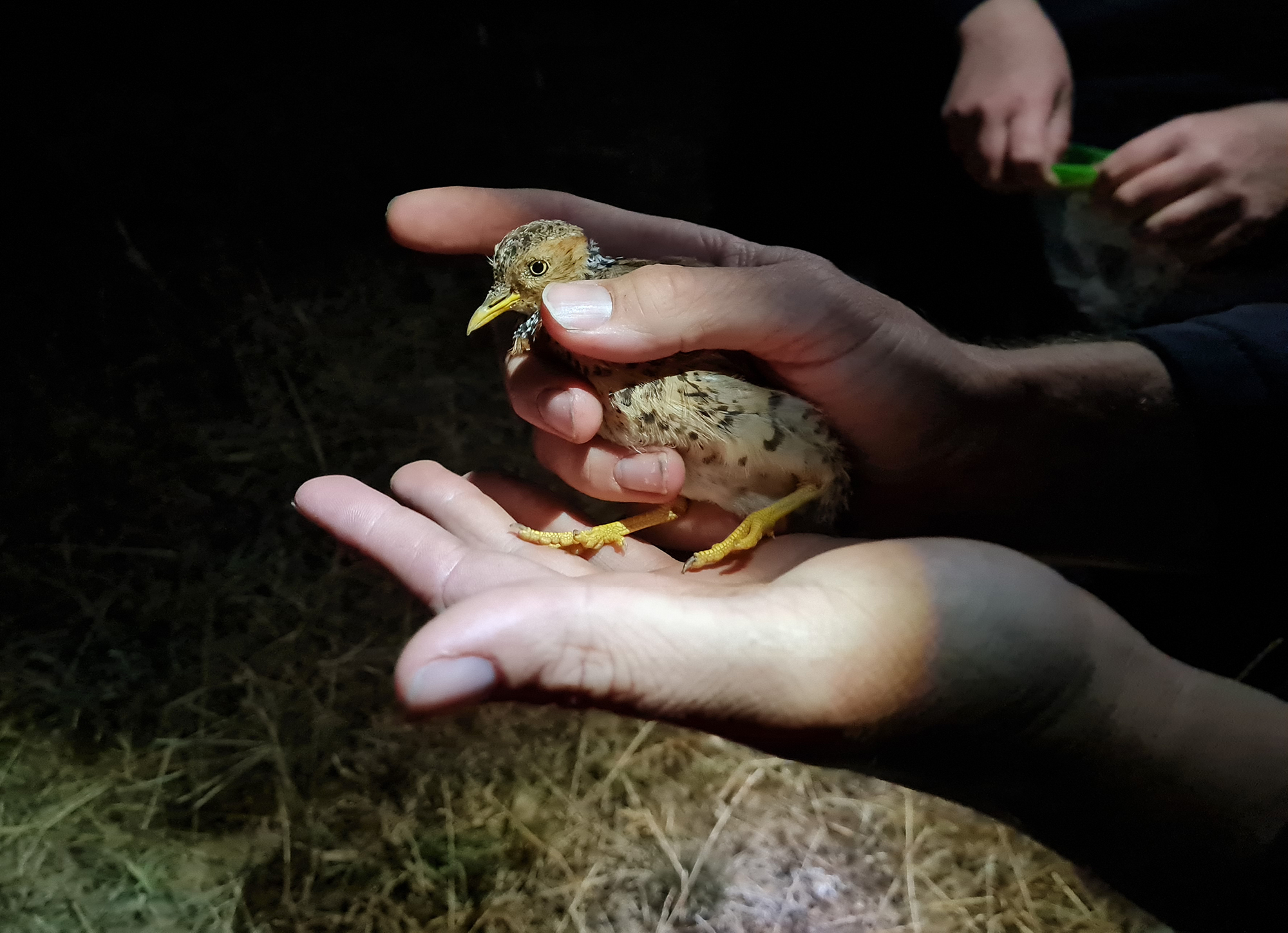 Plains for Wanderers | North Central Catchment Management Authority