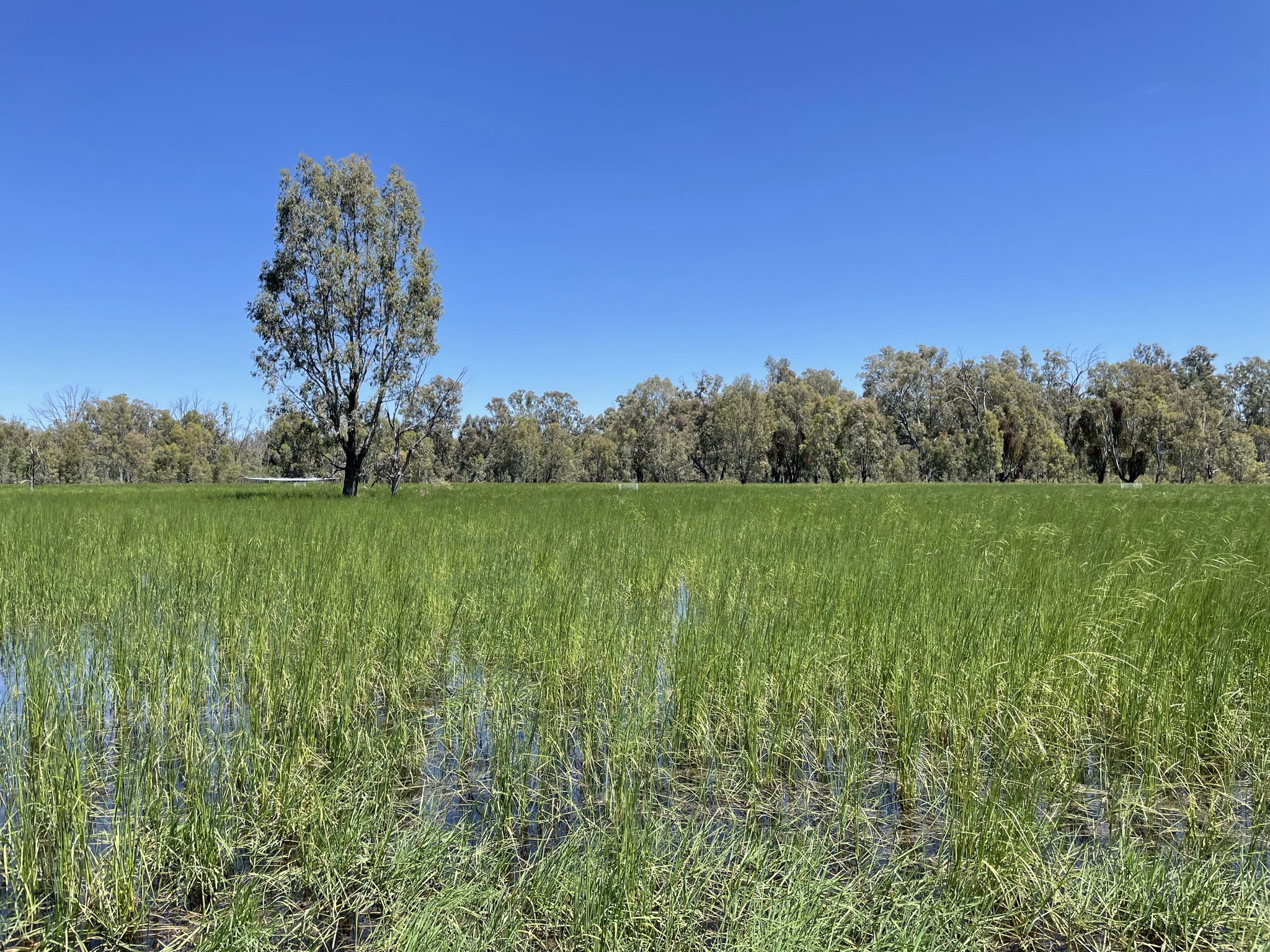 Rivers and Wetlands | North Central Catchment Management Authority