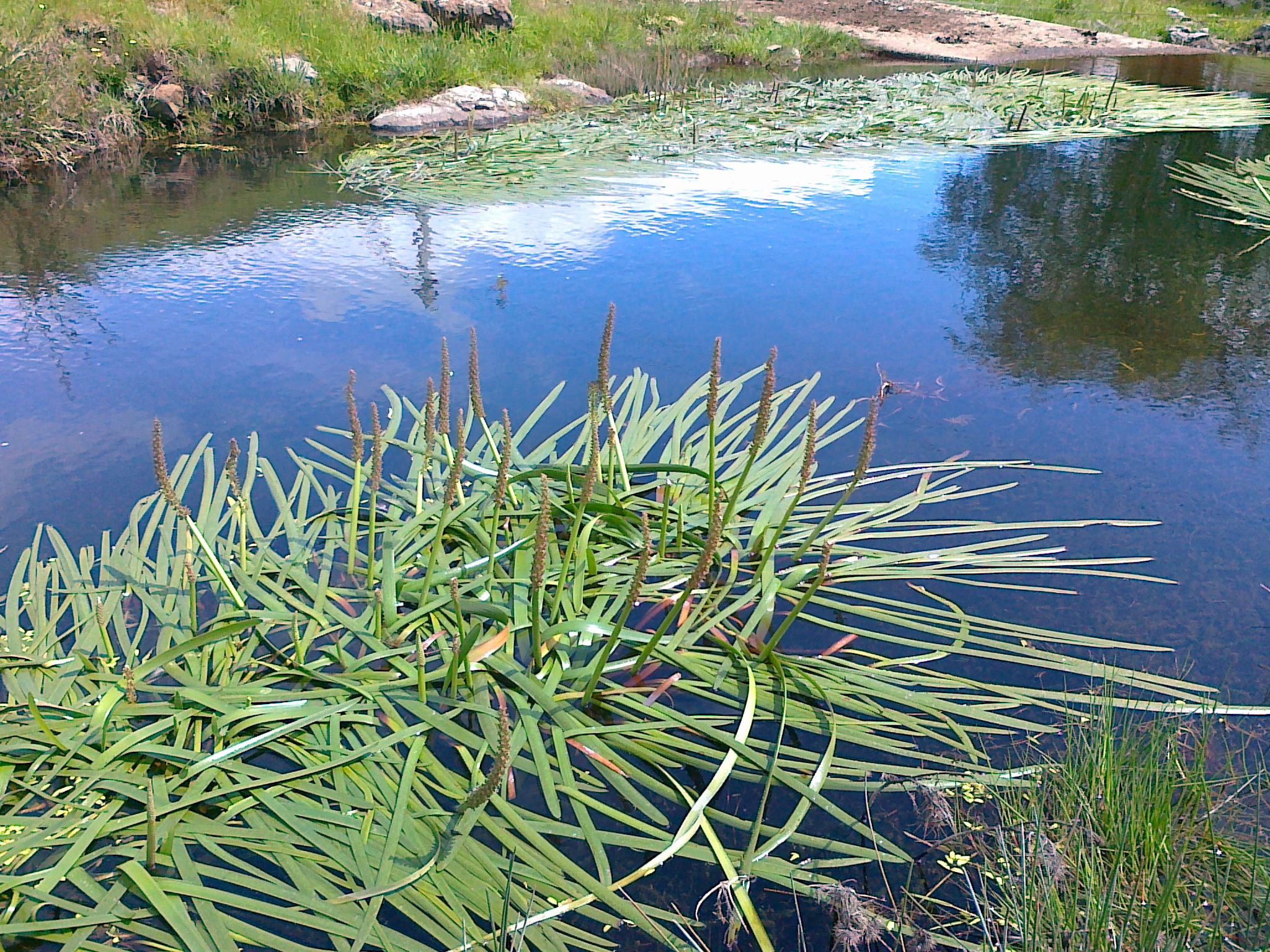 Birch's Creek | North Central Catchment Management Authority